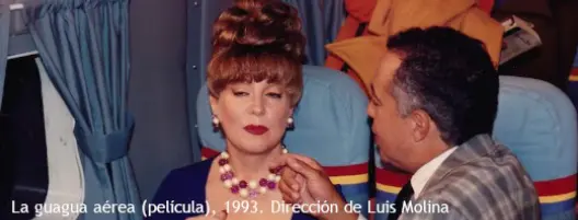 «LA GUAGUA AÉREA»: NOTAS EN TORNO A UN APARTE Y UN HOMENAJE LITERARIO ...